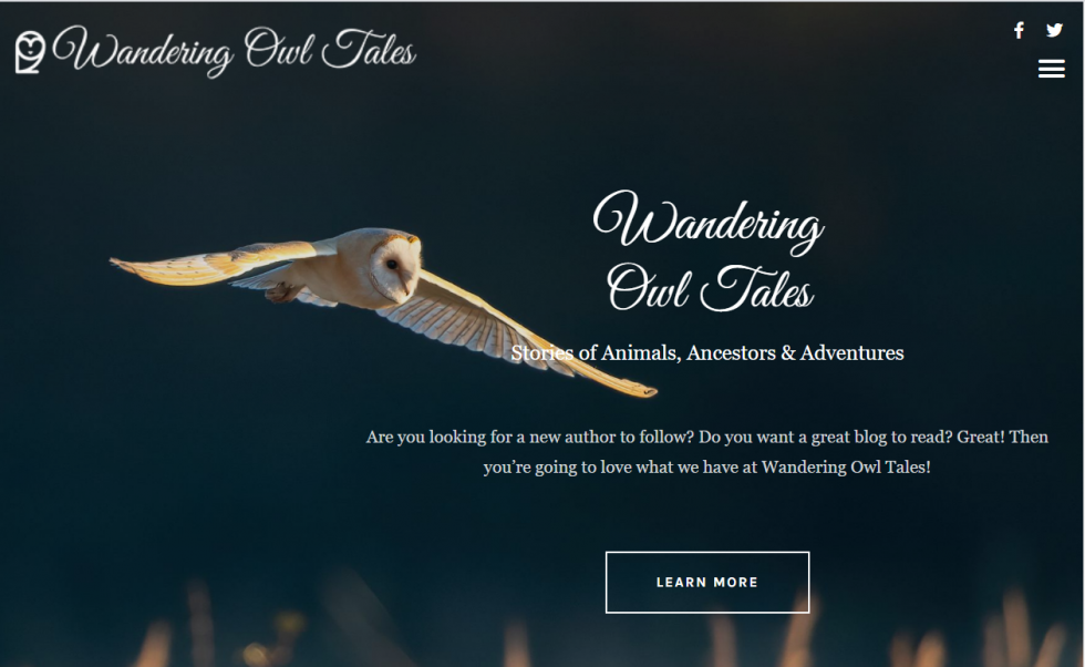 33 Best Author Websites Examples to Inspire You (2021 Update) - Situdio